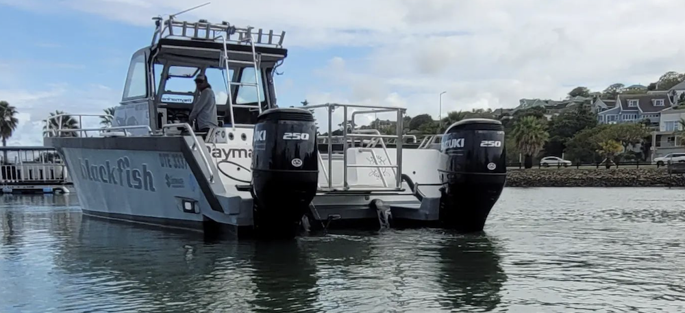 Exploring the Kowie River in Port Alfred