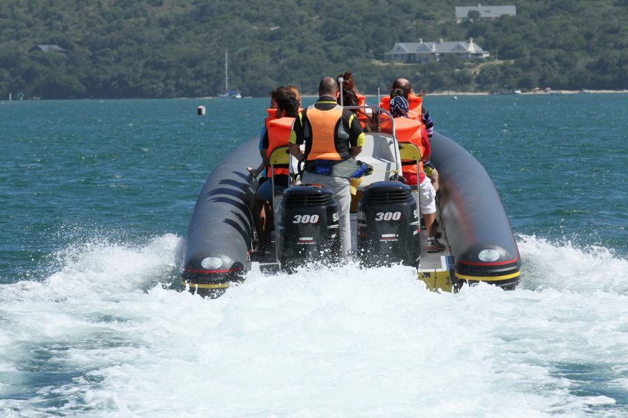 Why An Inflatable Could Be The Perfect Boat For You? - Suzuki Marine