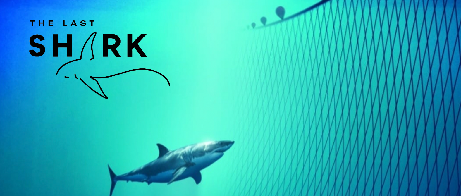 Suzuki Marine's Commitment to Marine Conservation: Partnering with The ...